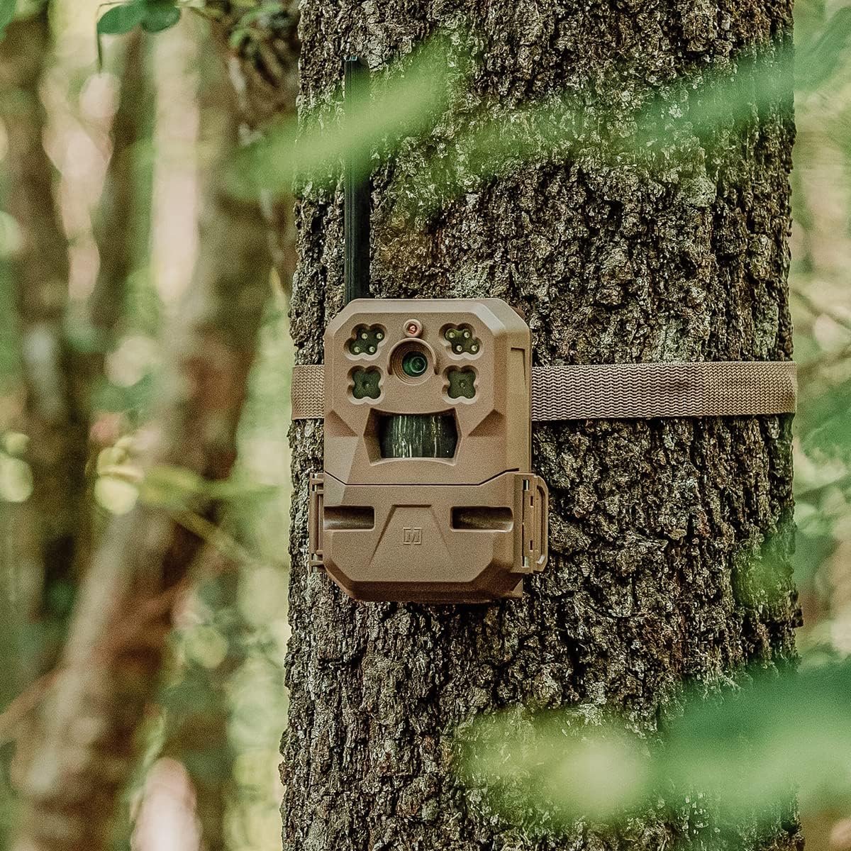 5 Best Game Cameras that Send Pictures to Phone (2026 Guide)